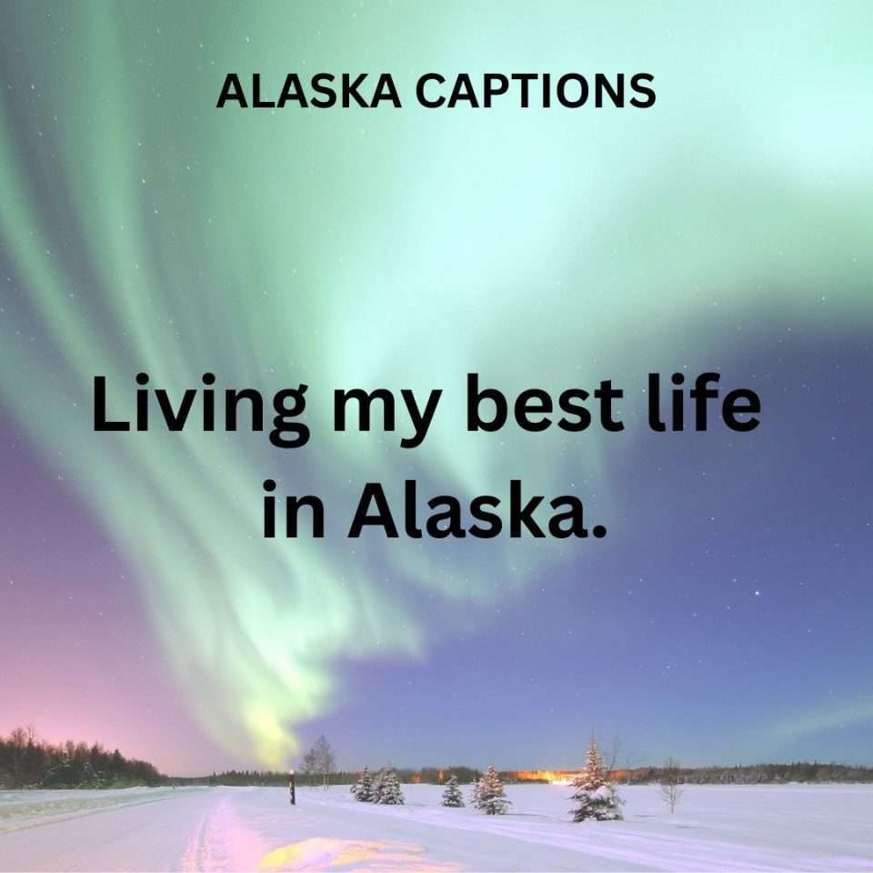 50+ Perfect Alaska Captions for Instagram | Carpe Diem OUR Way Travel