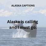 50+ Perfect Alaska Captions for Instagram | Carpe Diem OUR Way Travel