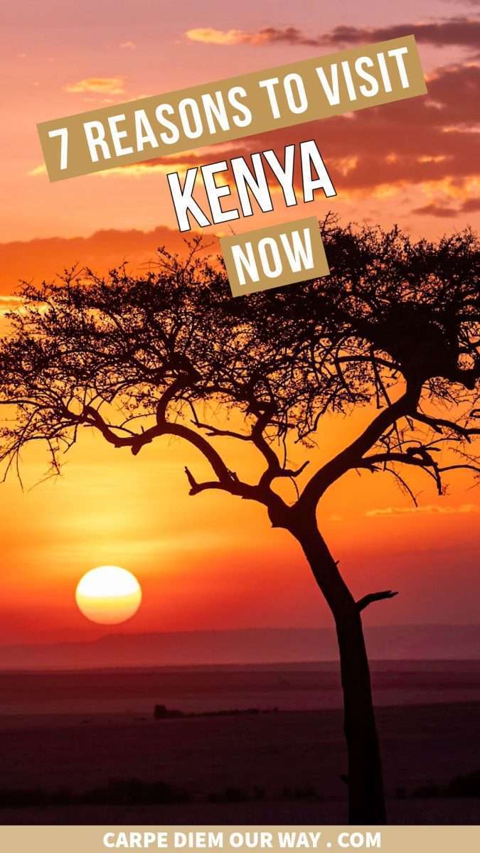 7 Reasons Why You Need to Book a Trip to Kenya Immediately! | Carpe ...